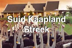 Die Afrikaanse Volksang- en Volkspele Beweging